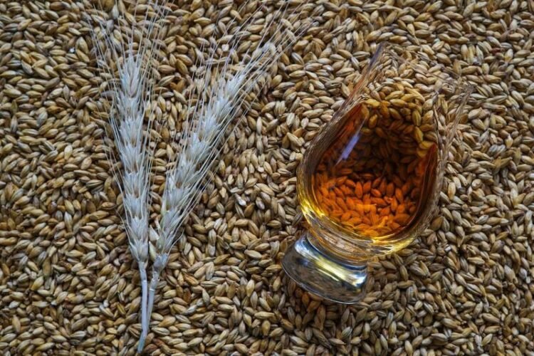 What’s the Secret Behind the Perfect Malt in Every Beer? – SipsavorLife